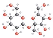 2.1 Atoms: The Building Blocks of Everything – Ready for Uni: An RMIT Chemistry Bridging Course